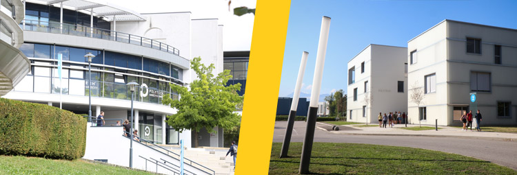 Découvrir notre école